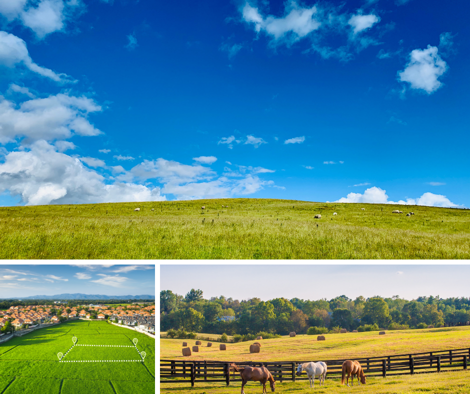 Home [www.rliland.com]